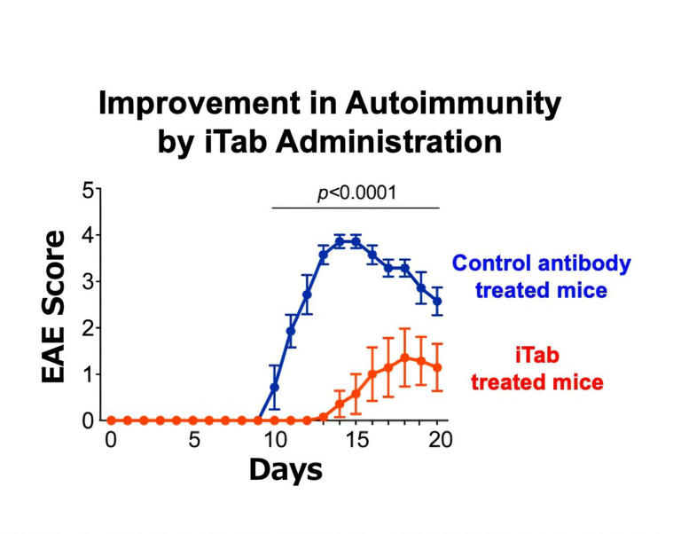 Antibodies can selectively shut down harmful T cells without weakening ...