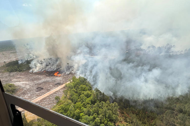 Firefighter raises concerns of mismanagement as Highway 82 fire grows