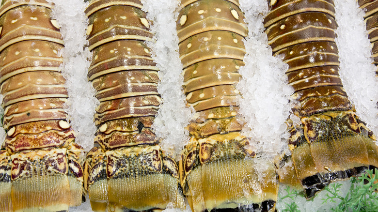 11 most common mistakes everyone makes cooking lobster