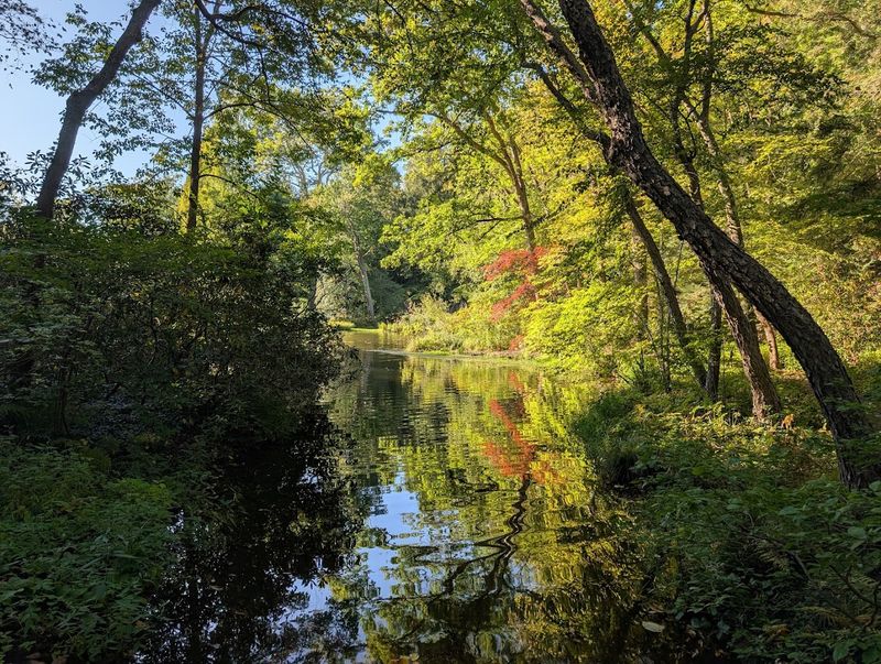 This 33-acre New Jersey rock garden is a hidden oasis with woodland ...