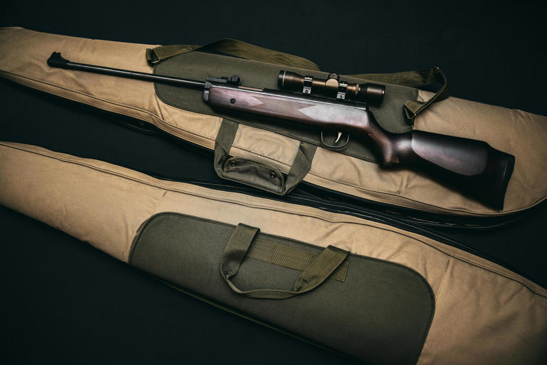 Bolt Action vs. Semi-Auto: Which Hunting Rifle Are You Actually ...