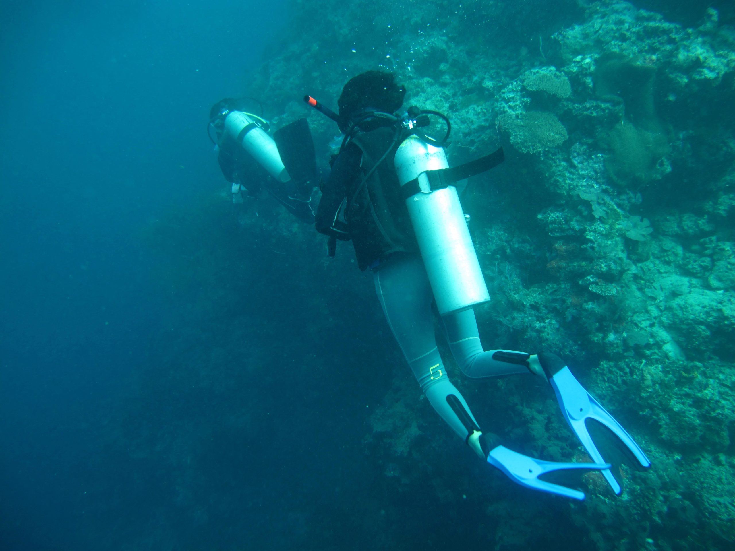 Older than the pyramids: The submerged 7,000-year-old stone wall off ...