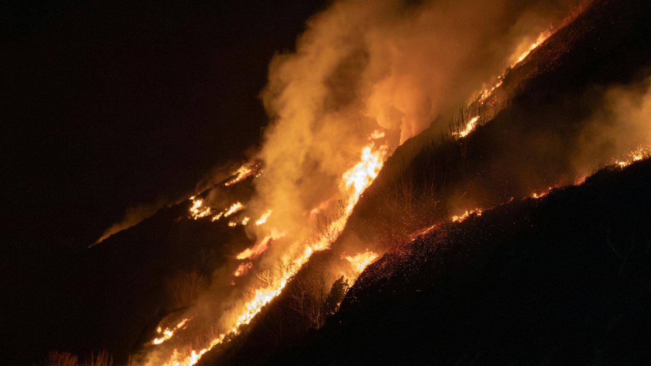 Georgia wildfire may have been sparked by a balloon, officials say