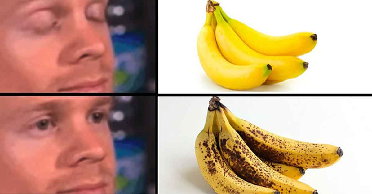 20 relatable and technically correct pics and memes