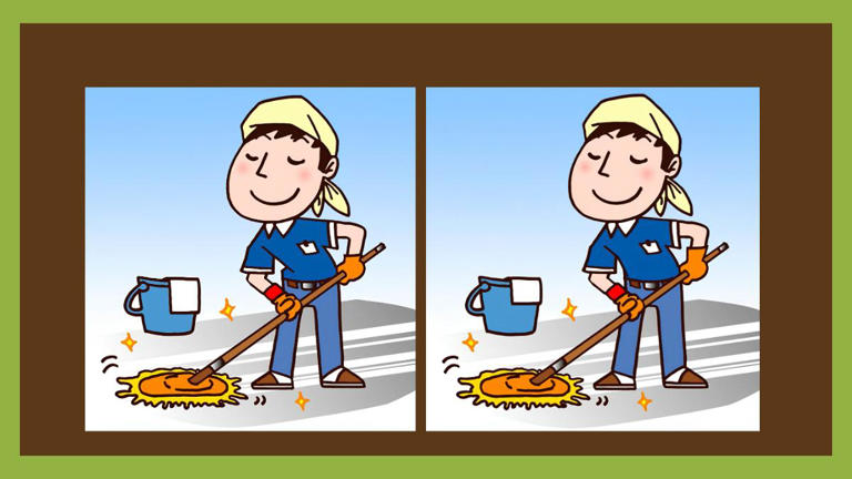 Only the most attentive can spot 3 differences in janitor pictures!