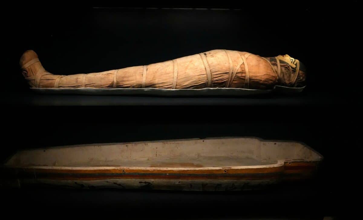 Scientists just used hospital-grade scanners on 2,300-year-old Egyptian ...