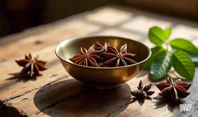 Health benefits of star anise: A spice with surprising properties