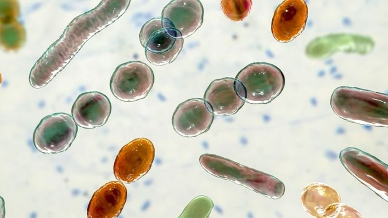 A flesh-eating bacteria was just discovered all over Long Island