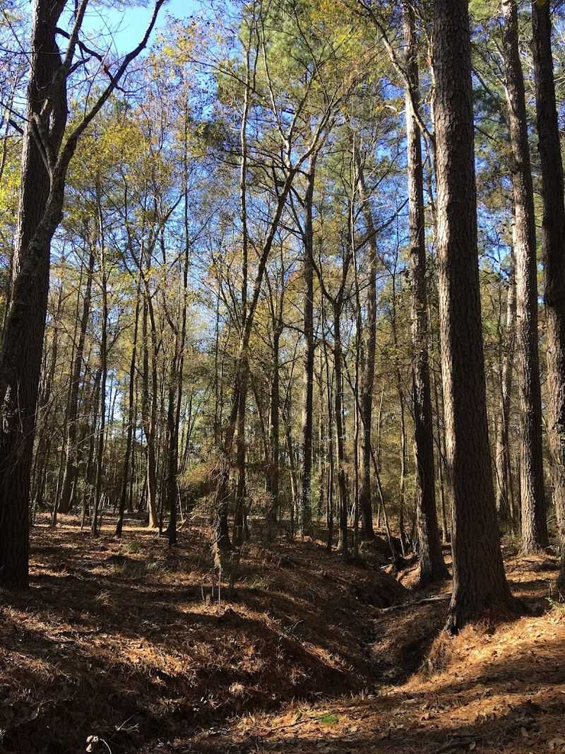 The Texas 'Narnia' trail that turns a simple walk into a magical experience