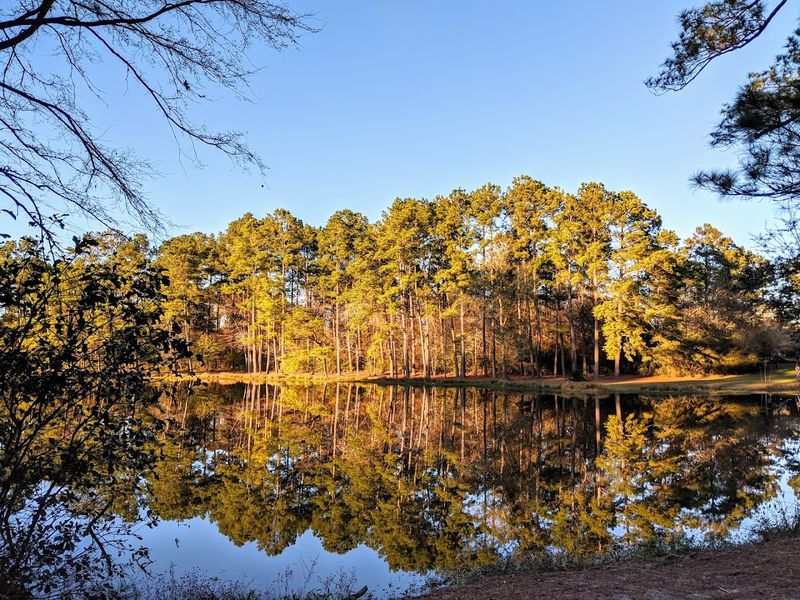 The Texas 'Narnia' trail that turns a simple walk into a magical experience