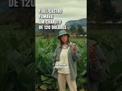 O charuto cubano que custa mais de 120 dólares e é um dos mais ...