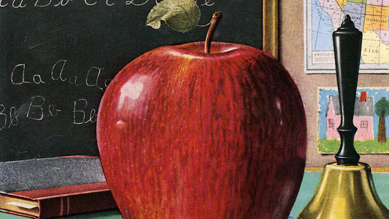 Teacher salaries across the world, ranked