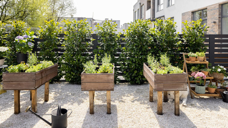 16 important steps to take before starting a garden