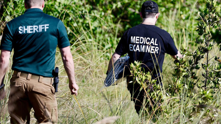 Law enforcement gathered near where divers searched for missing USF student