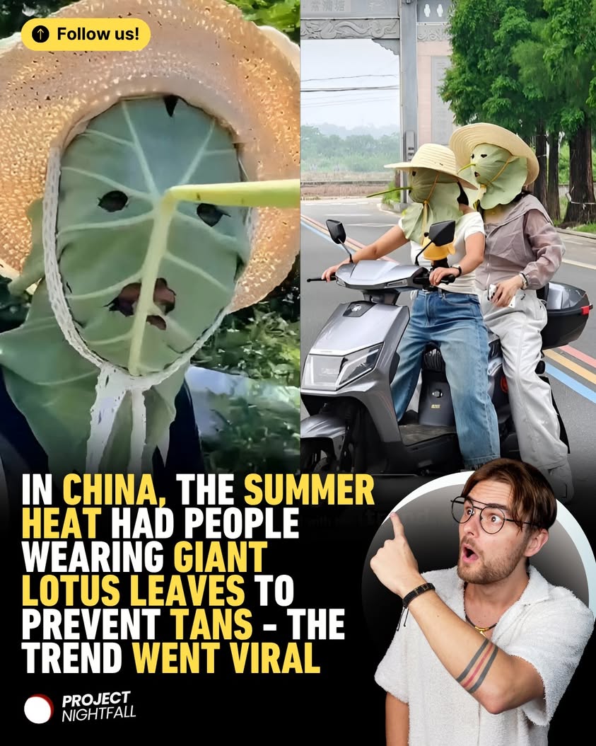 China's heat shocker: Faces disappear under giant leaves in viral anti ...