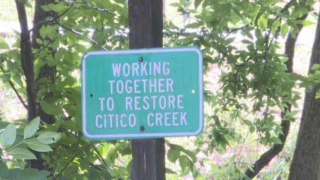 Crown Subaru and Green Steps host litter clean-up in the Orchard Knob ...