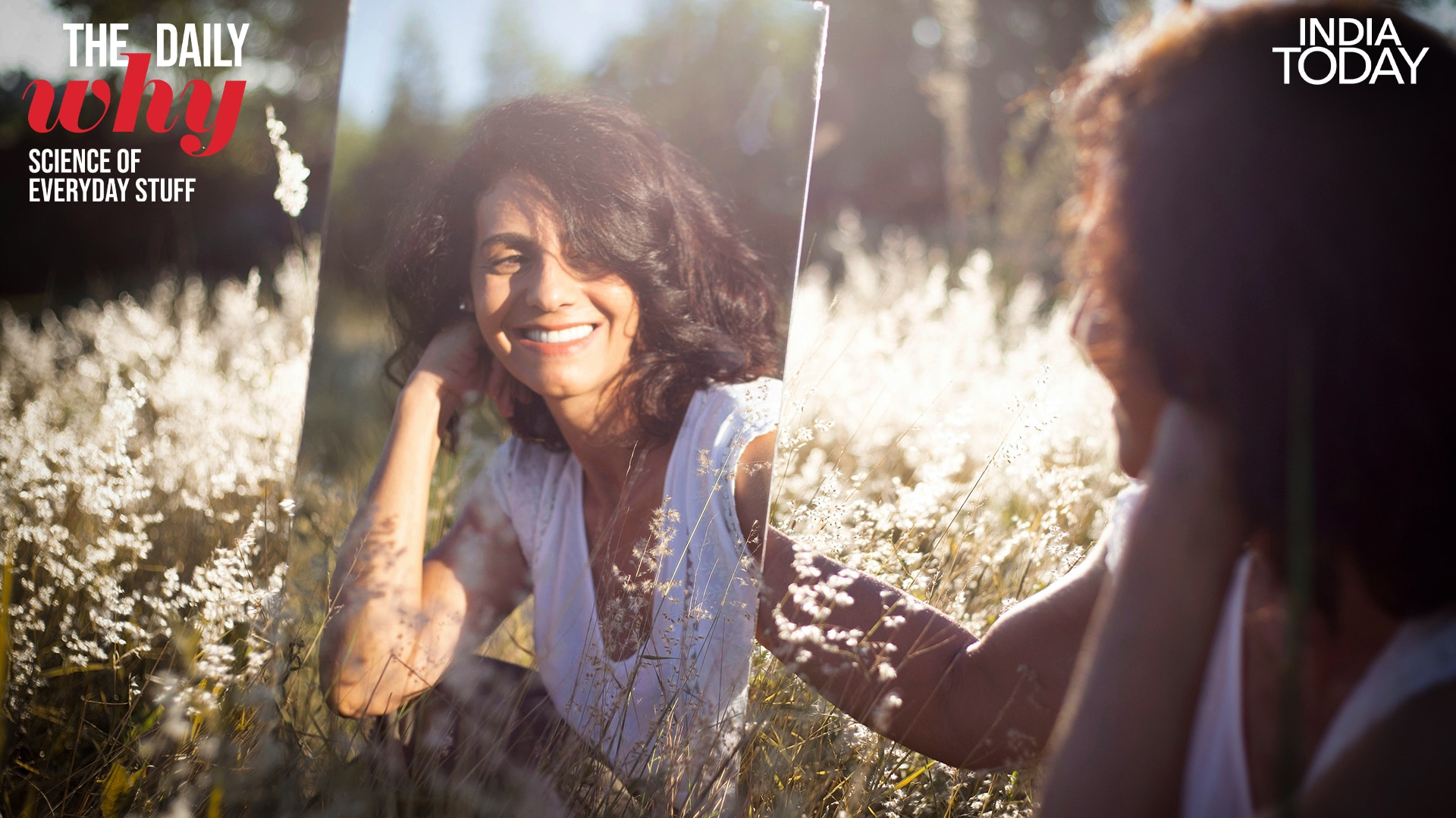 Why does a mirror flip your image? Spoiler, your brain is playing ...