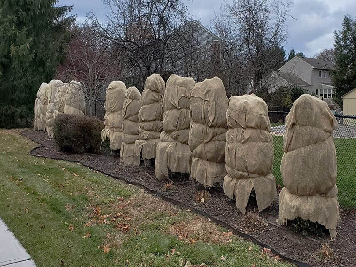 Fall yard care doesn't have to be awful. These are the 10 tools that ...