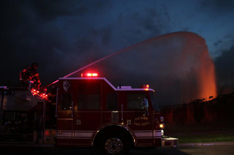 Kansas theme park looks to rebuild after 60-ton dinosaur goes up in flames