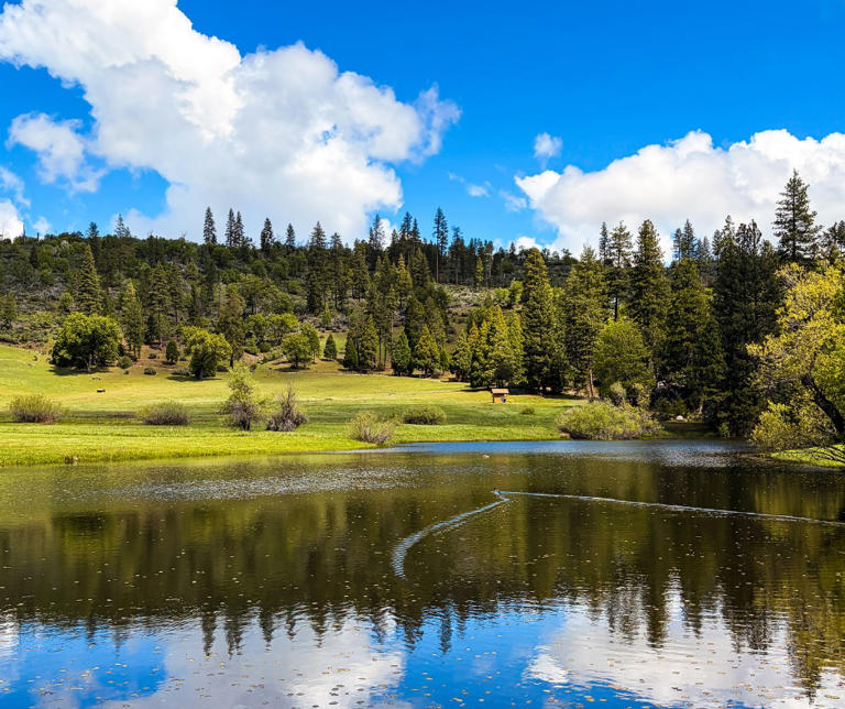 Elite $42K California private school axes beloved Jewish summer camp ...