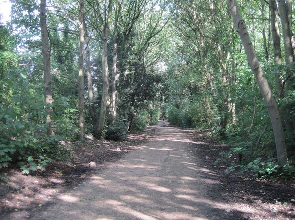 Peaceful London nature reserve walk that's perfect for families and dogs