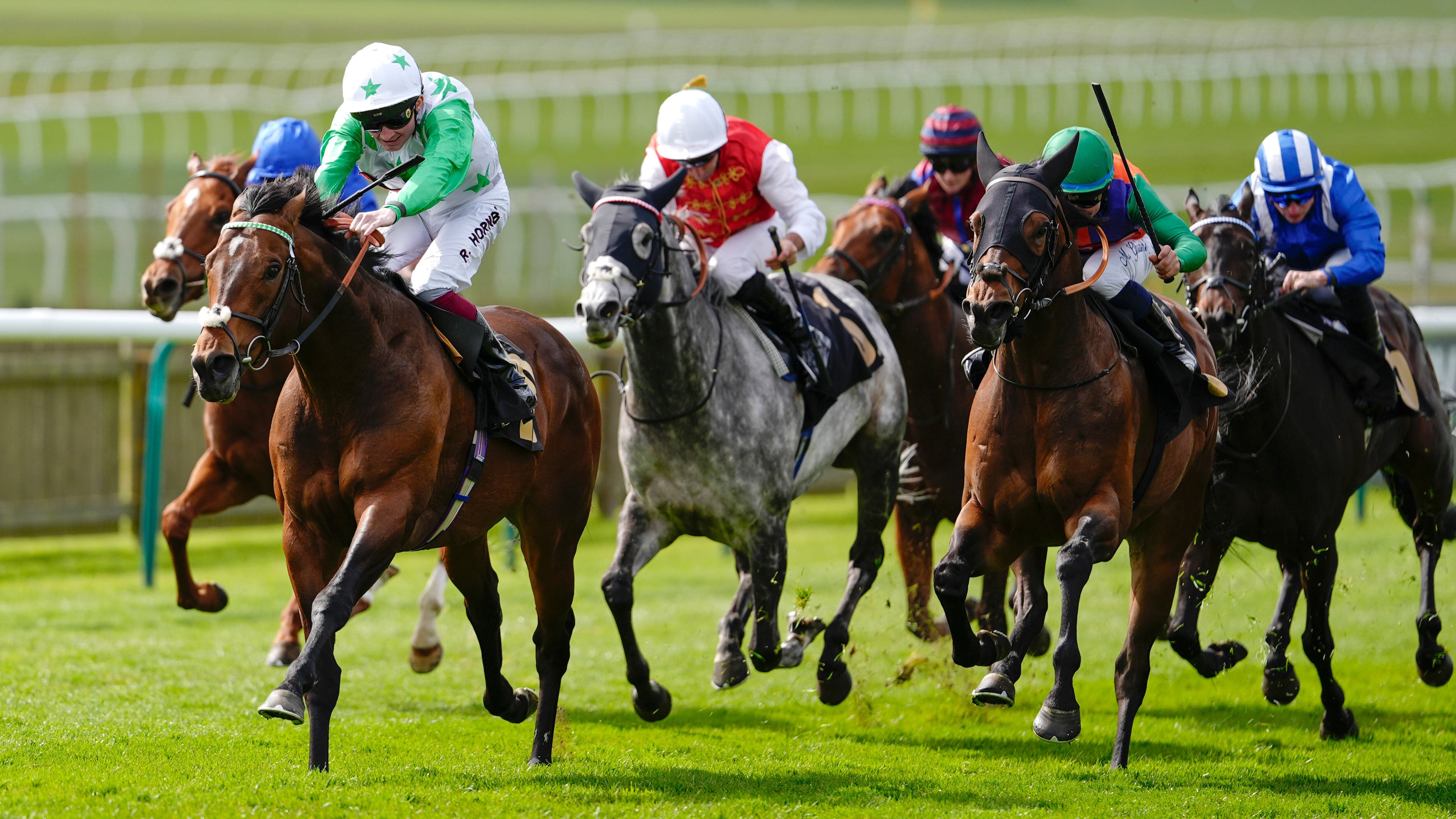 From gut instinct to algorithms: how AI is changing horse racing