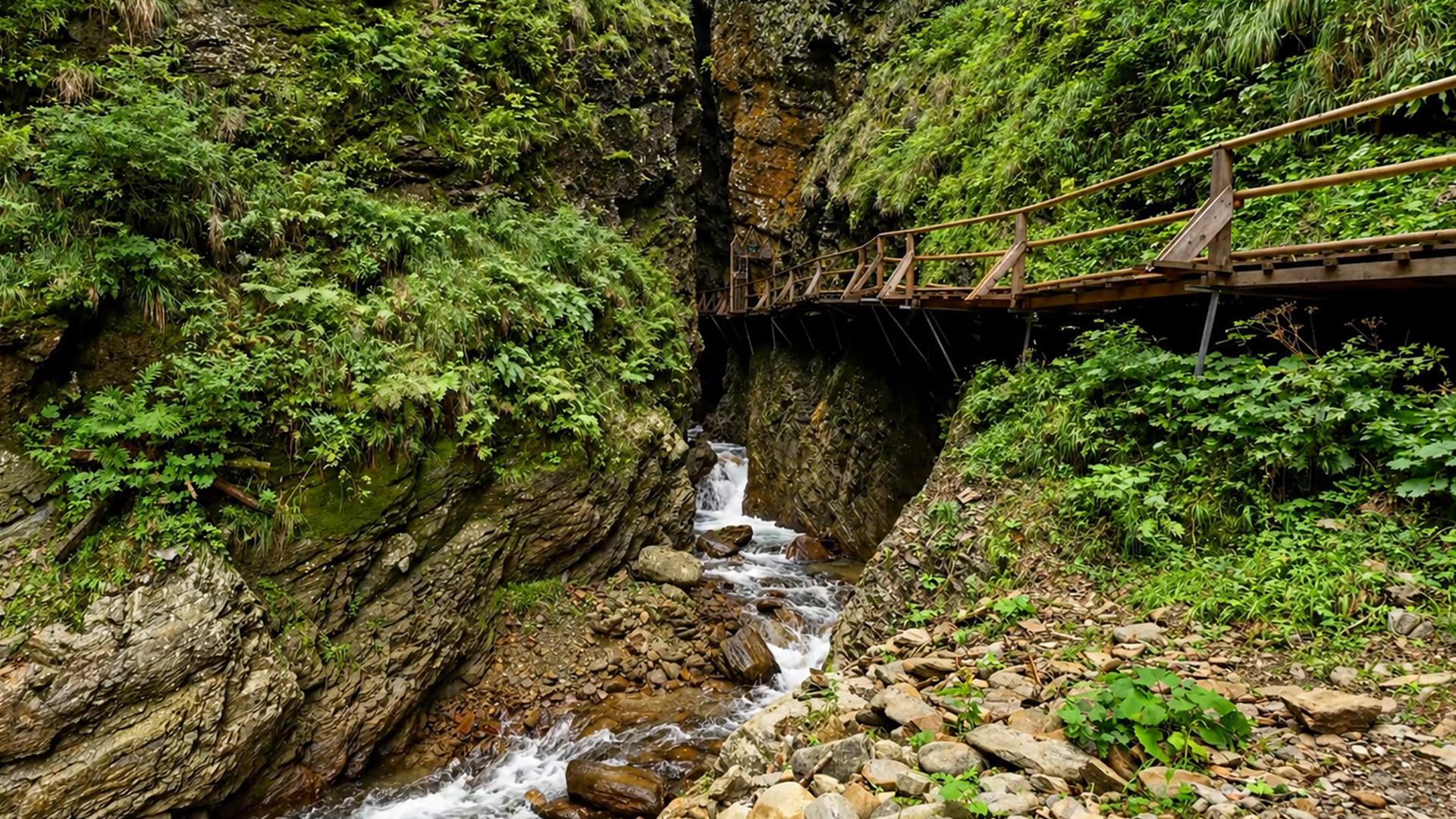 क्या आपने रग्गाश्लुख्ट को पहले कभी ऐसे देखा है?