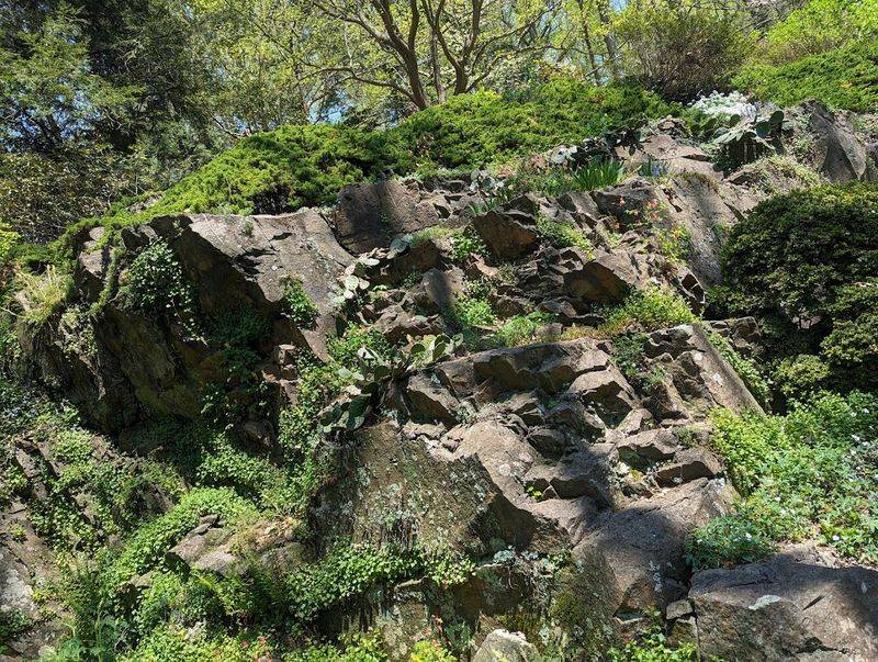 This 33-acre New Jersey rock garden is a hidden oasis with woodland ...