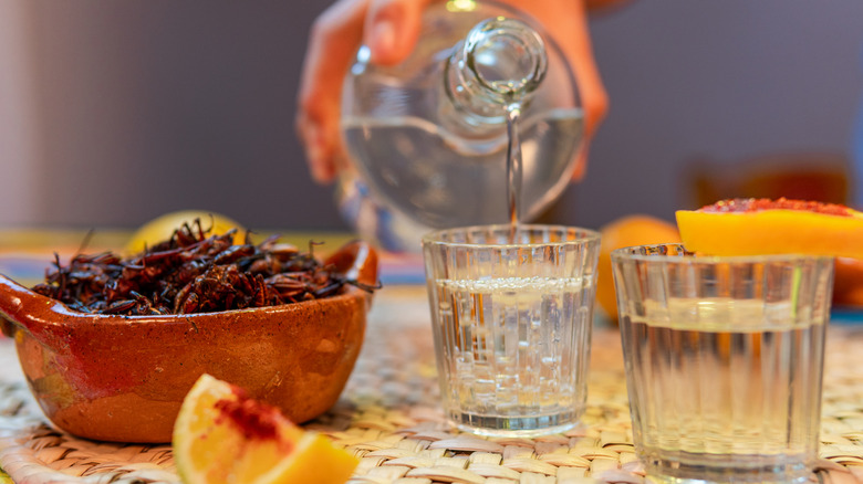 9 best mezcal brands to try in 2026