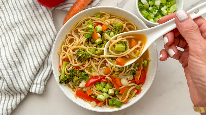Vegetable chow mein noodle soup recipe
