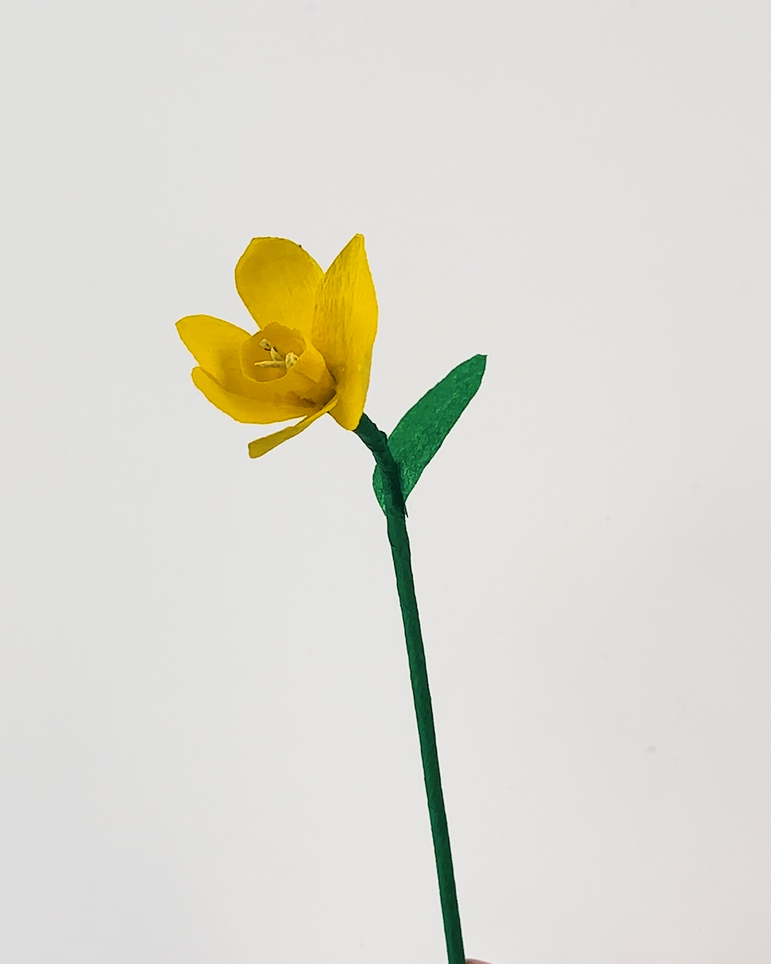 Paper daffodil that lasts forever 🌼