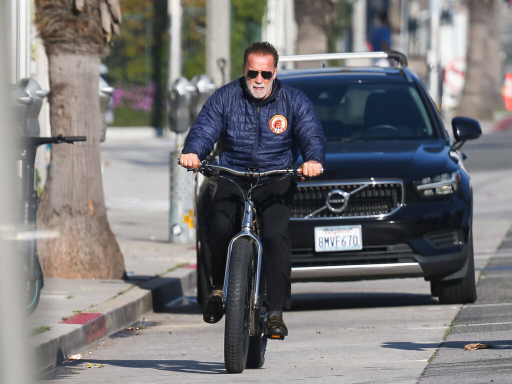 Arnold Schwarzenegger’s high IQ of 135 makes him one of the most ...
