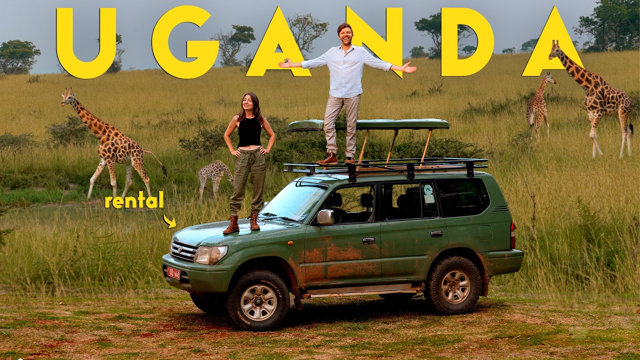 We took ourselves on a wild safari!