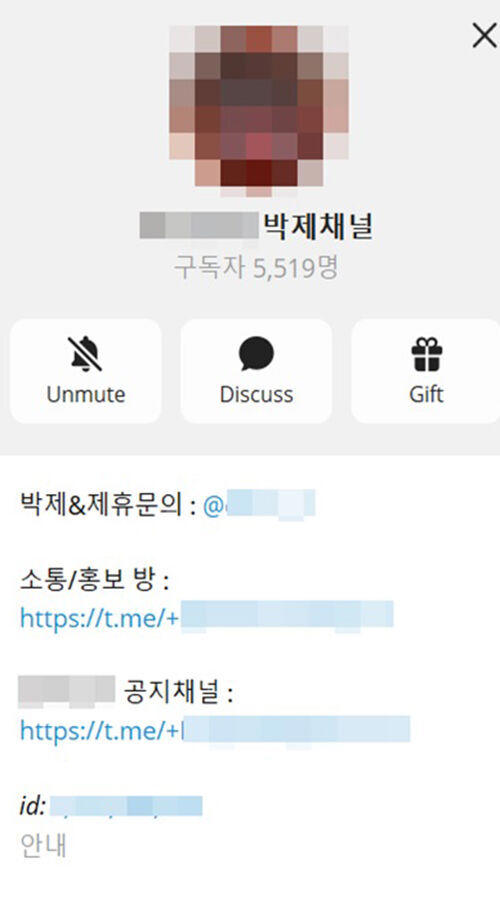 탤레그램 '박제방' 운영 10대 3명 적발…성 착취물도 유포