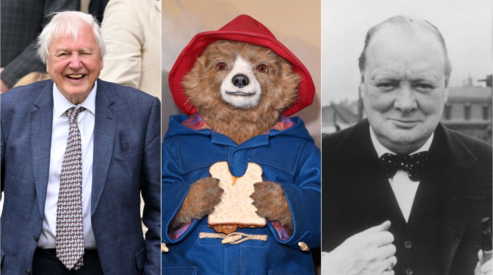 David Attenborough and Winston Churchill top picks for new notes as ...