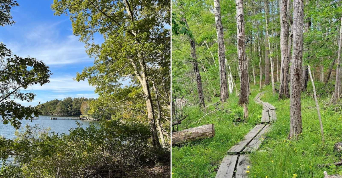 This tiny Maine island is a short bridge and drive away, yet feels ...