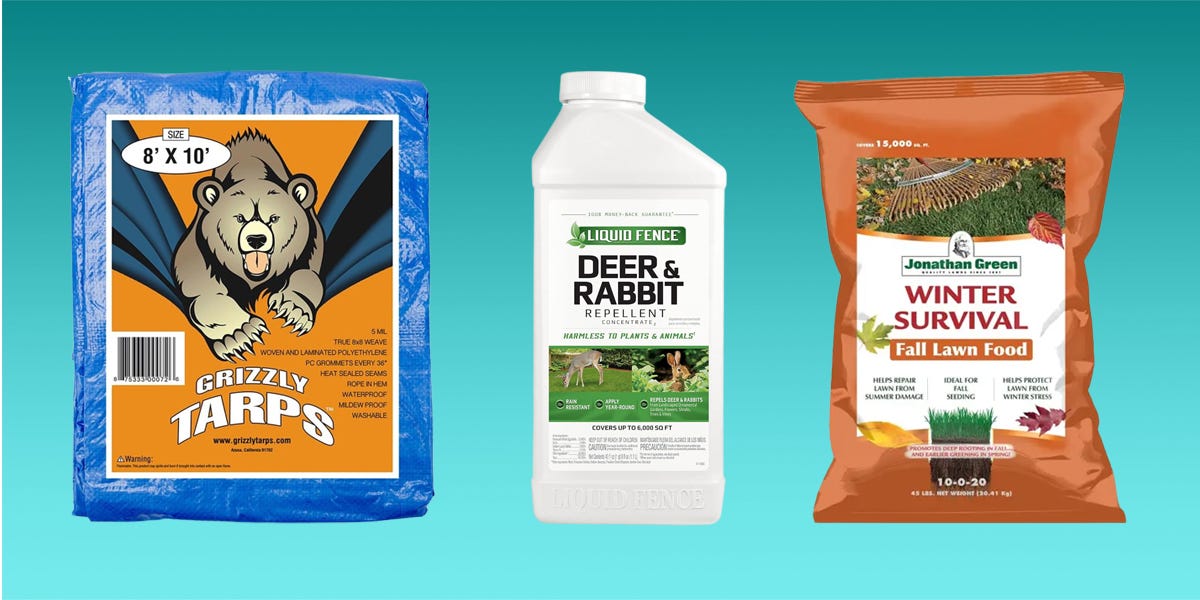 Fall yard care doesn't have to be awful. These are the 10 tools that ...