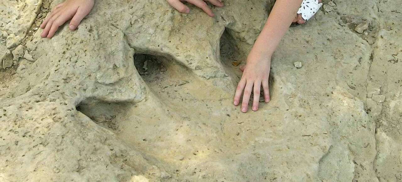 Texas' No. 1 campground has dinosaur tracks from 65 million years ago