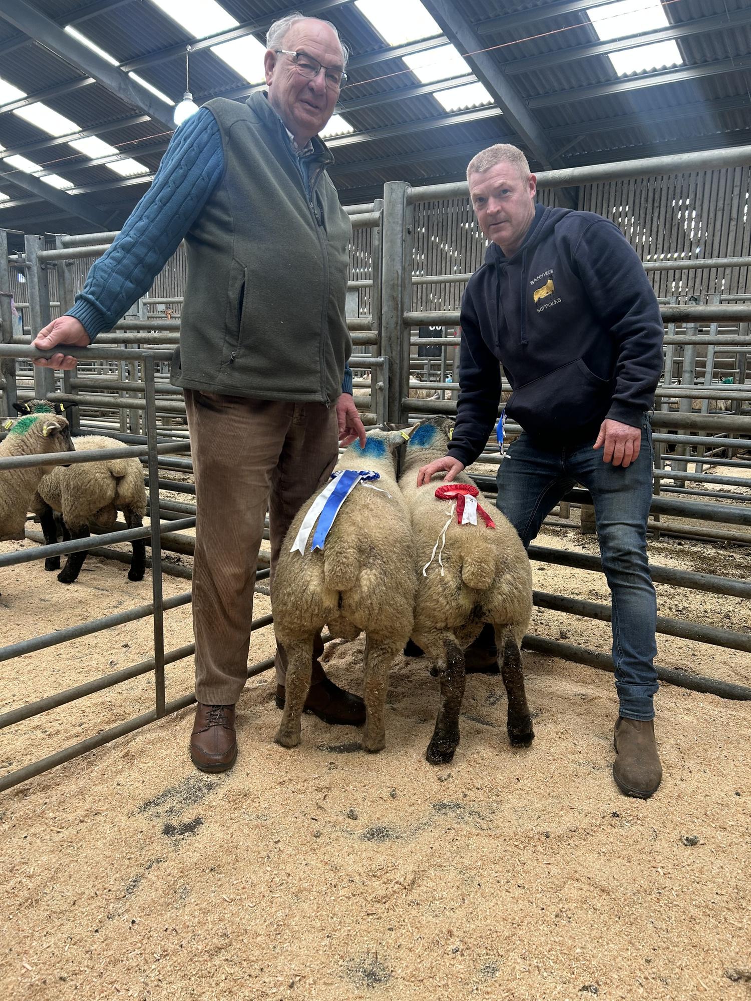NI Suffolk branch spring lamb competition