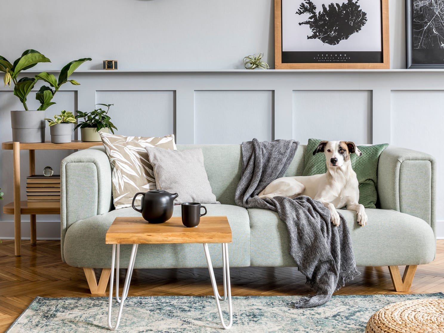 How to deep clean a fabric couch and remove tricky stains
