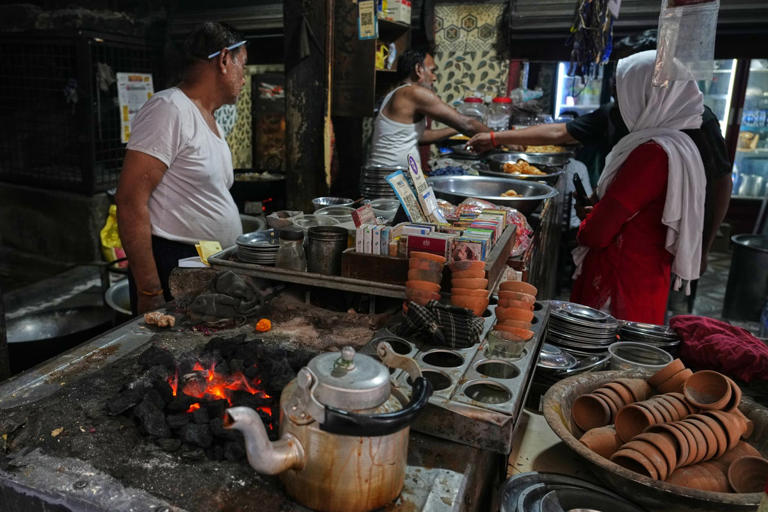 Energy shock ripples through kitchens, forests and conservation in ...