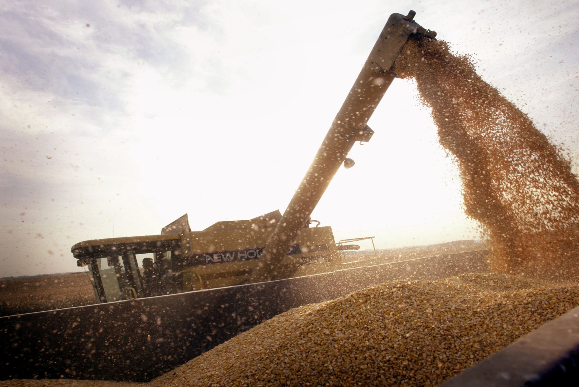 These countries control the world's food supply