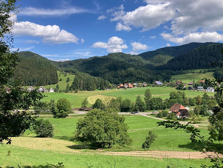 « J'ai tout adoré » : se reconnecter à la nature sur les sentiers pieds ...