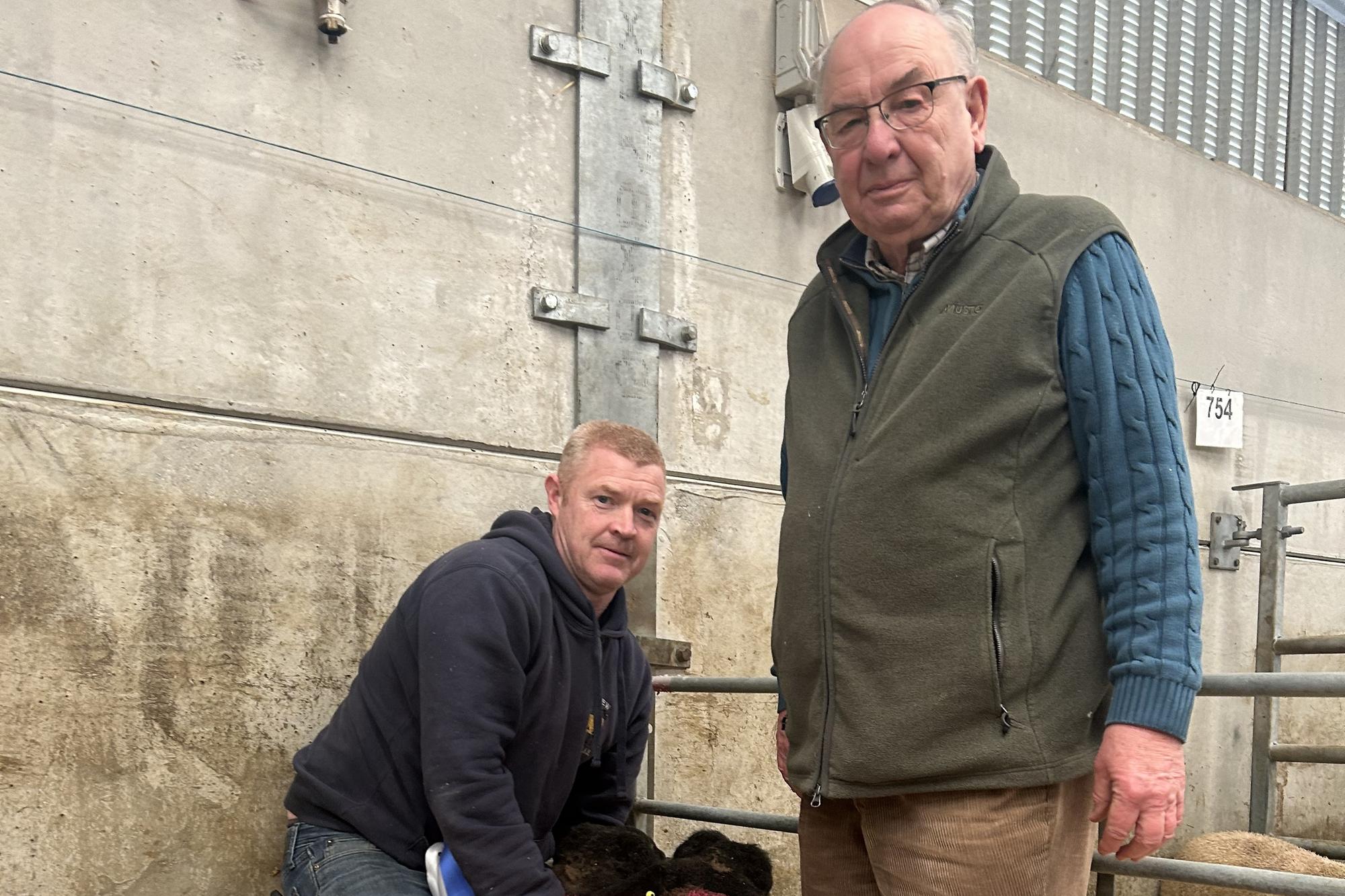 NI Suffolk branch spring lamb competition