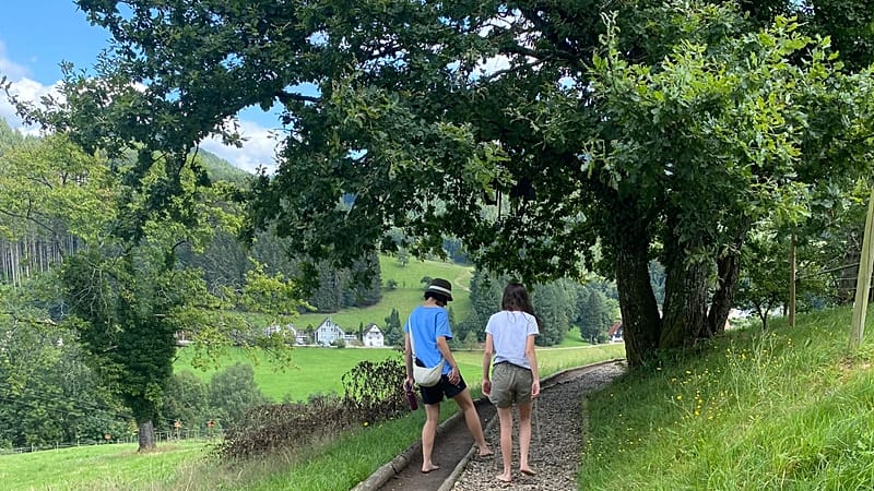 «Me encantó todo»: reconectar con la naturaleza en las rutas descalzas ...