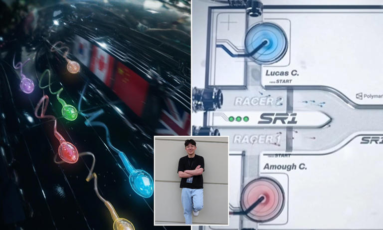 Men from over 100 countries are racing their sperm for $100,000 amid ...