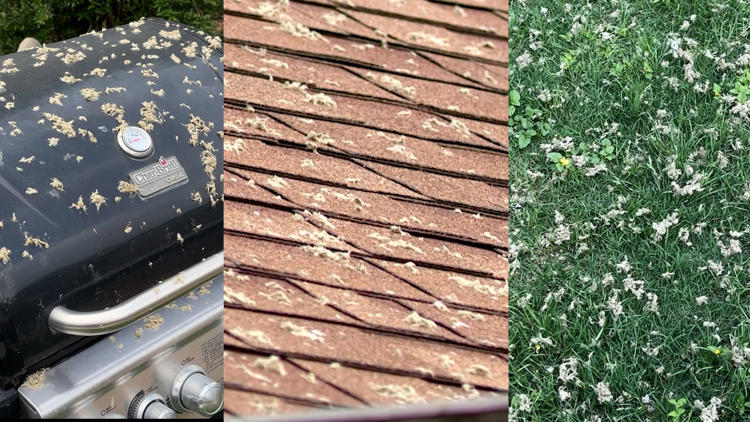 'We need to know if it's toxic' | Frustration and uneasy feelings from ...