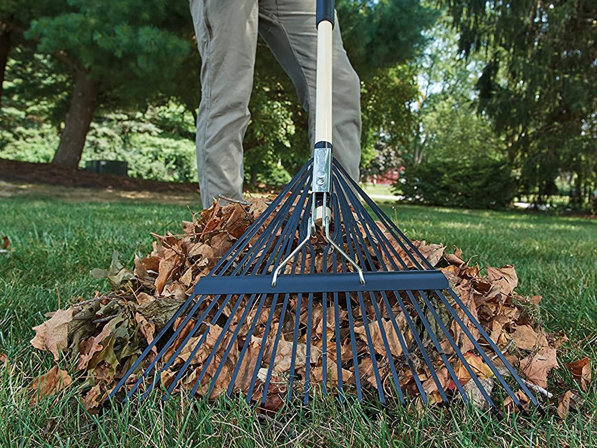 Fall yard care doesn't have to be awful. These are the 10 tools that ...