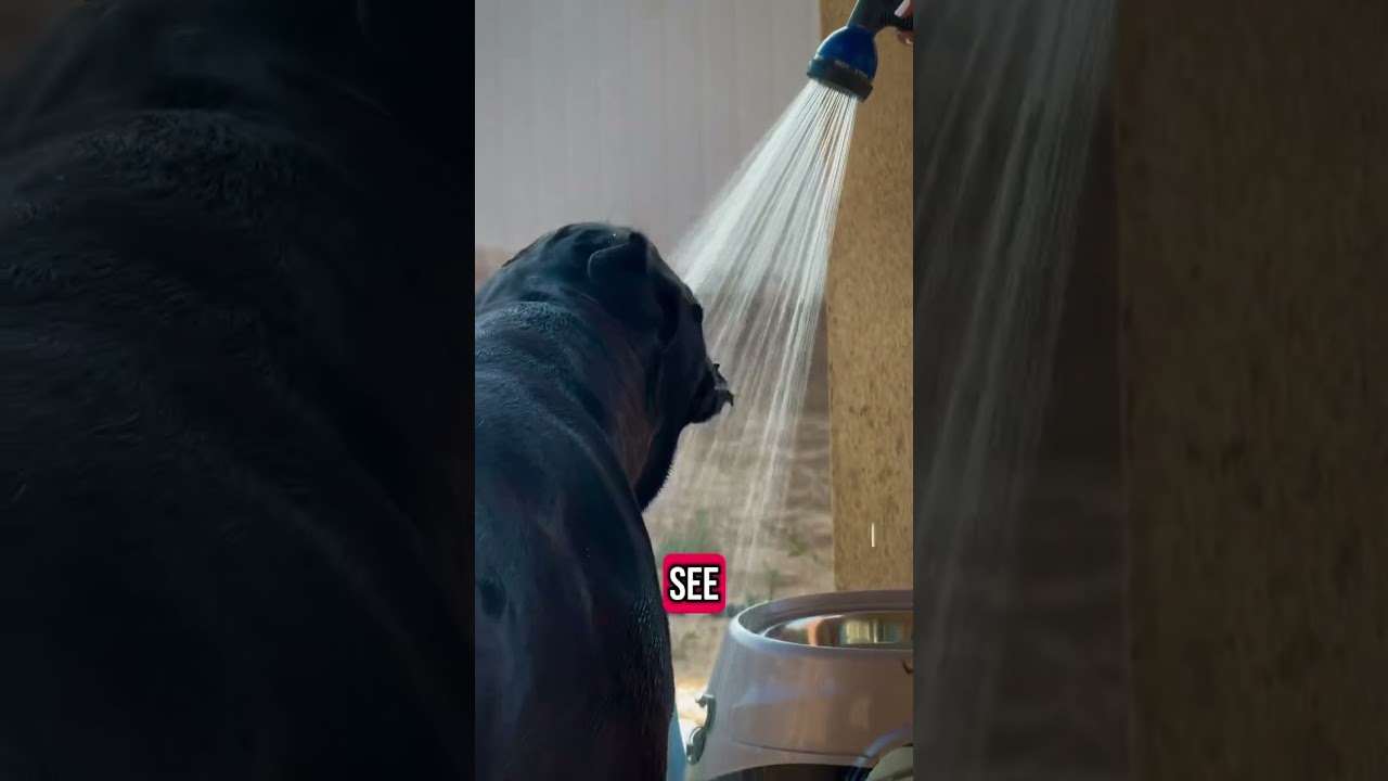 He only drinks water from the hose