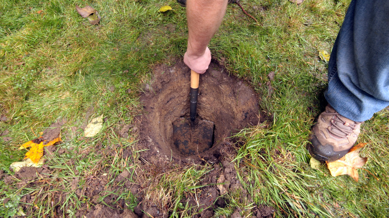 What to do when a hole appears in your yard